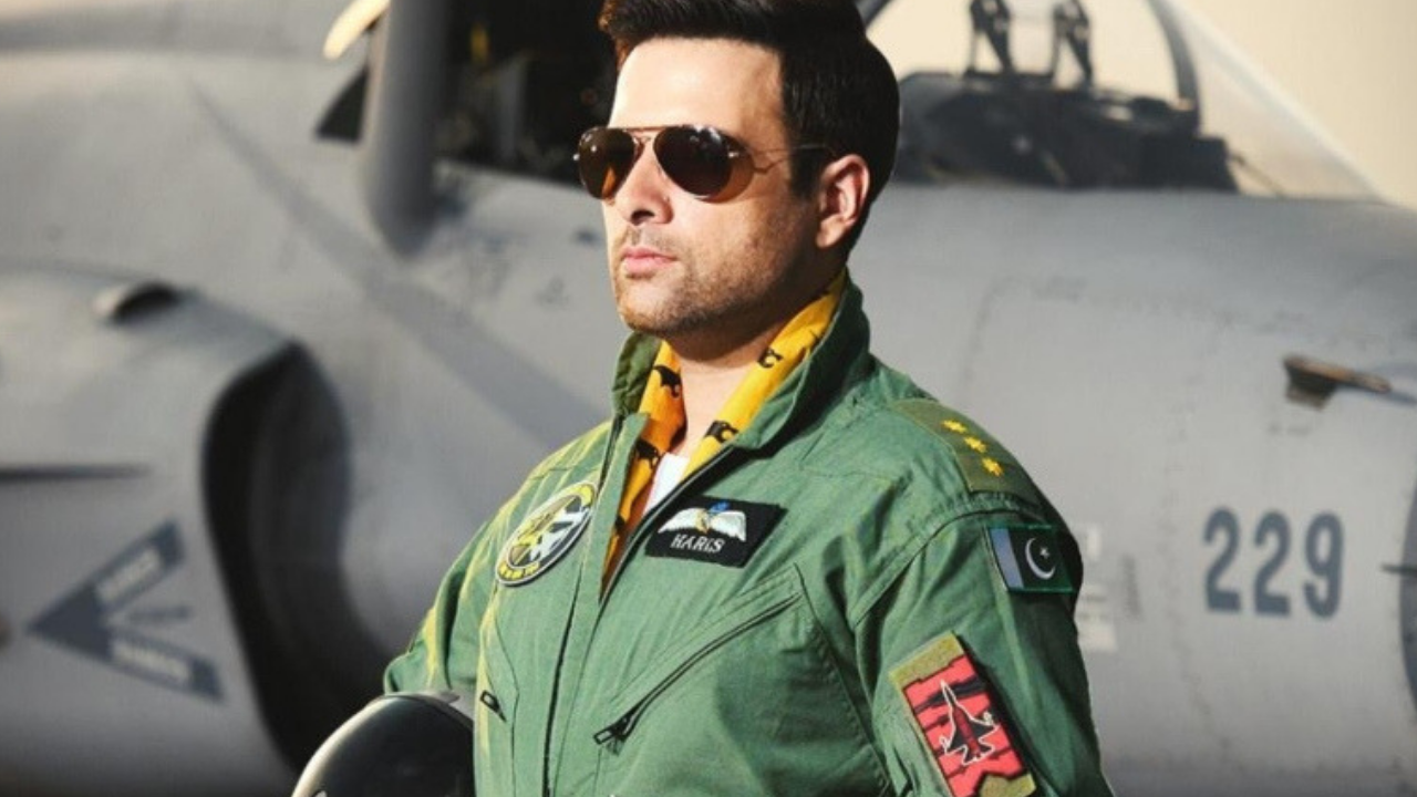 Sherdil A Review | TVINKAL